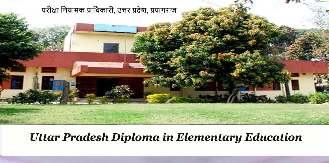 Online Activities for UP.D.EL.ED. 2026